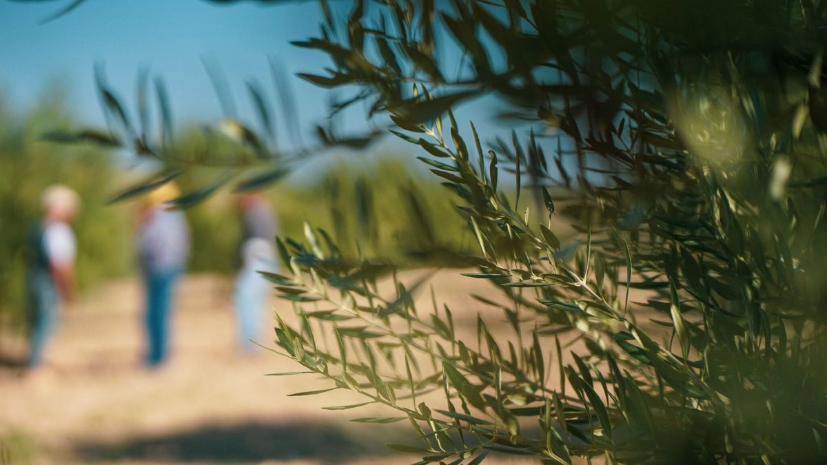 NECTAR Program: Our Vision for Biodiversity